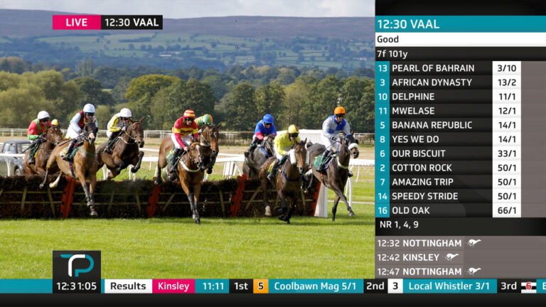 Aston: 2D/3D motion graphics | Brainstorm